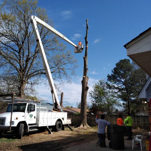 Diamond Tree Service is a Tree Removal Company in Decatur, AL 35603